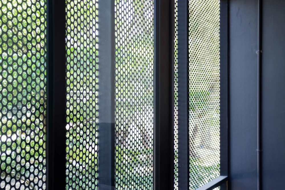 How to Cover a Back Door (20 Ideas)