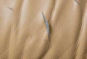 How to Repair Tear in Couch Fabric: Easy Steps for Quick Fix