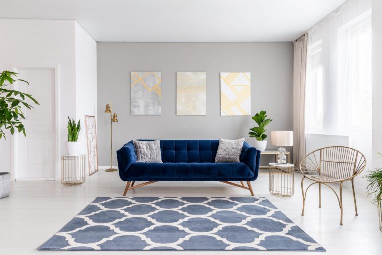 What Color Rug Pairs Best with a Blue Couch? Find Perfect Matches