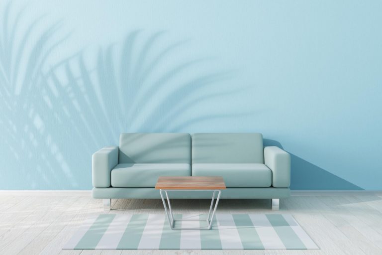 What Color Rug Pairs Best with a Blue Couch? Find Perfect Matches