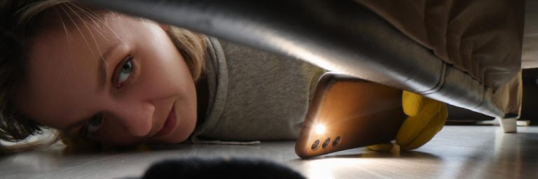 How Long Can Lice Live On A Couch: Get the Facts & Solutions