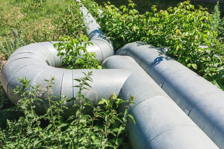 How Professionals Kill Roots in Your Pipes