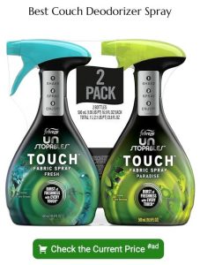 My Couch Smells Like Body Odor: Effective Steps to Clean and Deodorize ...