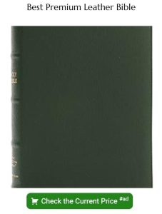 Bible Design Blog: Your Guide to Understanding and Appreciating ...